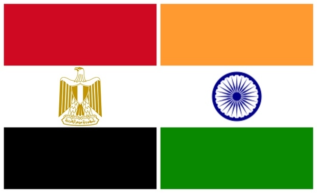 What Egypt can learn from India